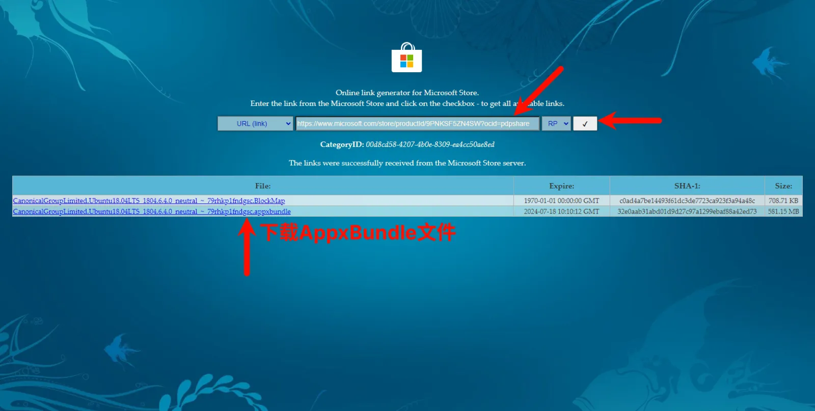 使用WSL2+WSLg优雅地安装ROS系统 | Patrick's Blog