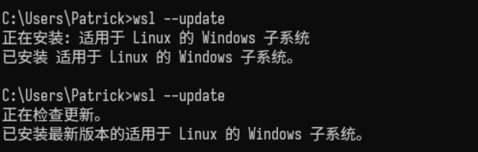使用WSL2+WSLg优雅地安装ROS系统 | Patrick's Blog